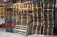 grote partij div houten palletten | Appelboomonline.be